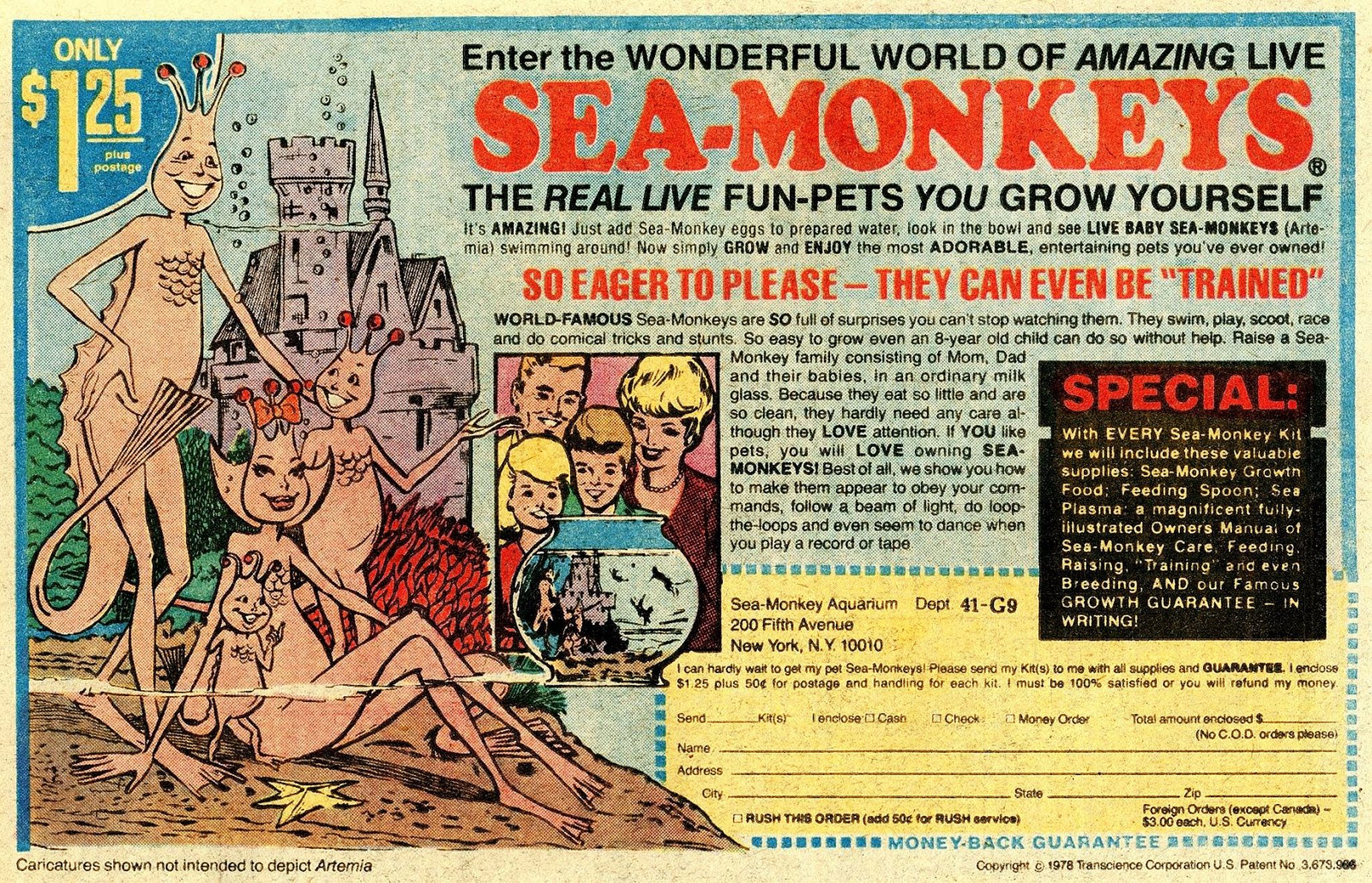 The Science of Sea-Monkeys: Survival in extreme environments – NZASE