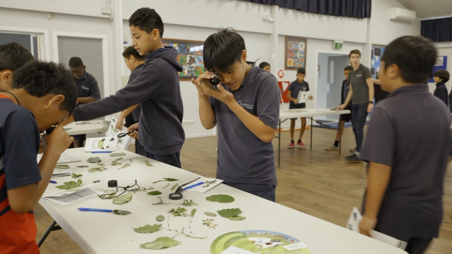 EOTC Profile: Exploring biodiversity and conservation in the classroom ...
